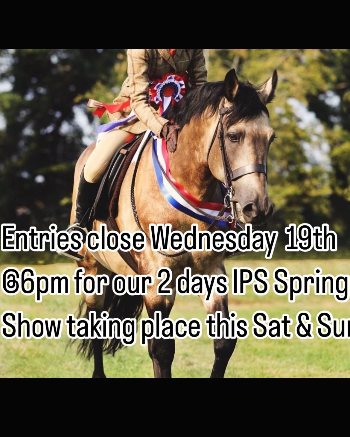 HOLLYPARK STABLES 2 DAY SPRING SHOW – Irish Pony Society